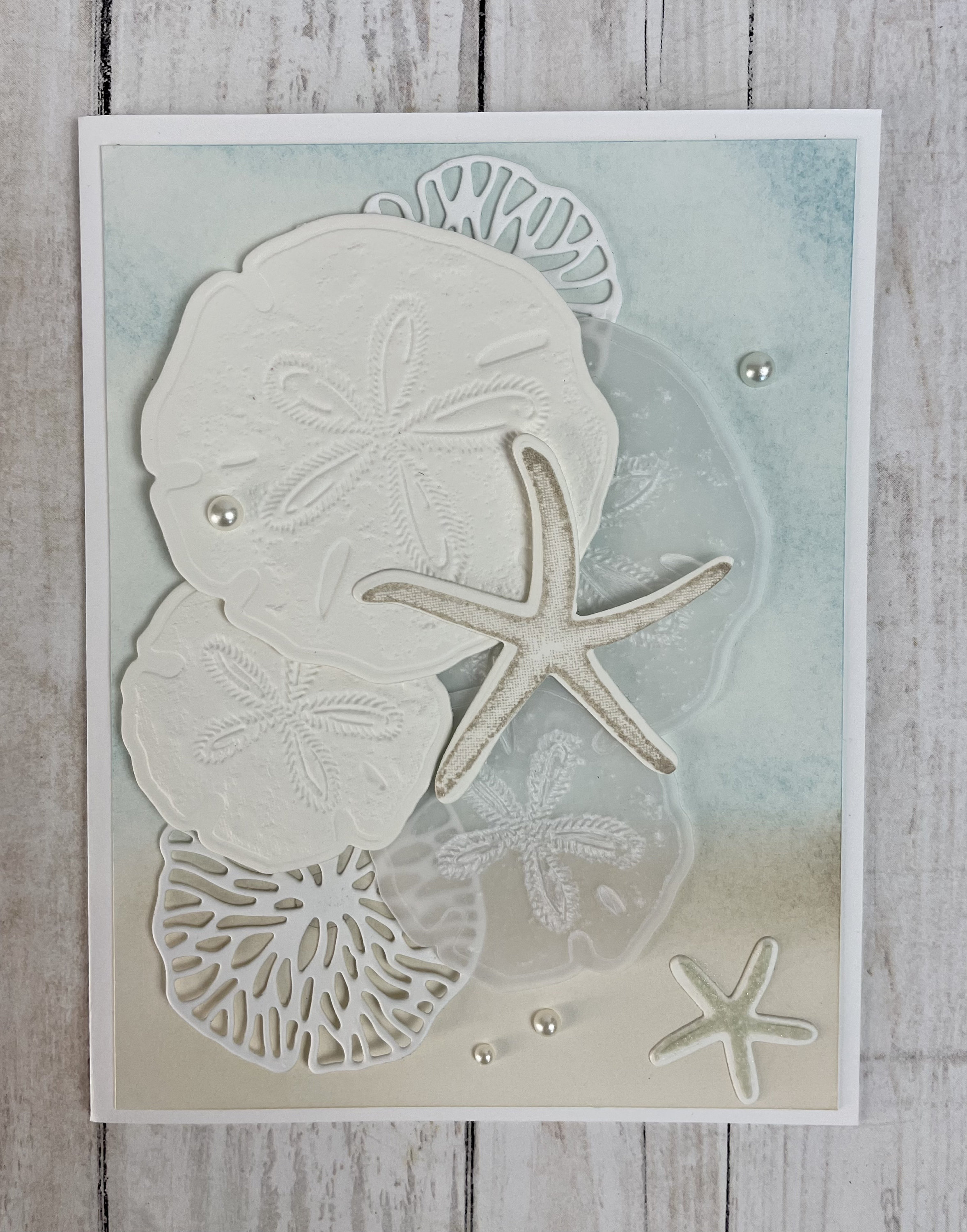 Sand Dollar, Star Fish , Ocean, Sea Shells, Stampin' Up, Blank - Etsy