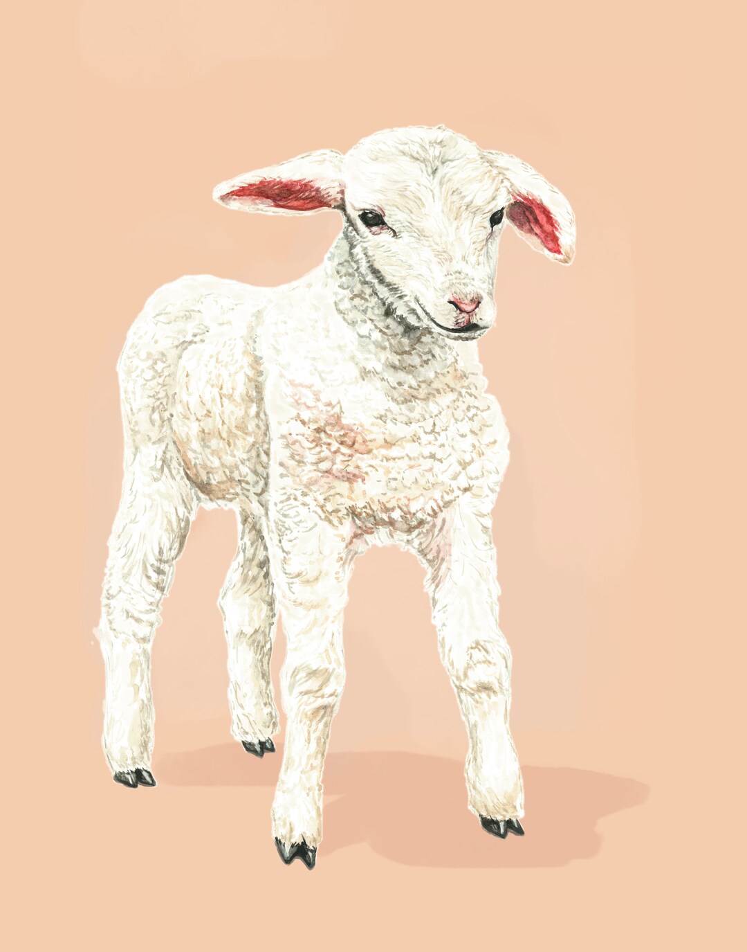 Little Lamb | Art Print - Etsy