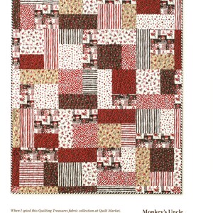 Turning Twenty *the Original Quilt Pattern - Book 1* By: Tricia Cribbs ...