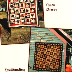 Count Your Crazy Lucky Stars *softcover Quilt Book* By: Janet Nesbitt ...