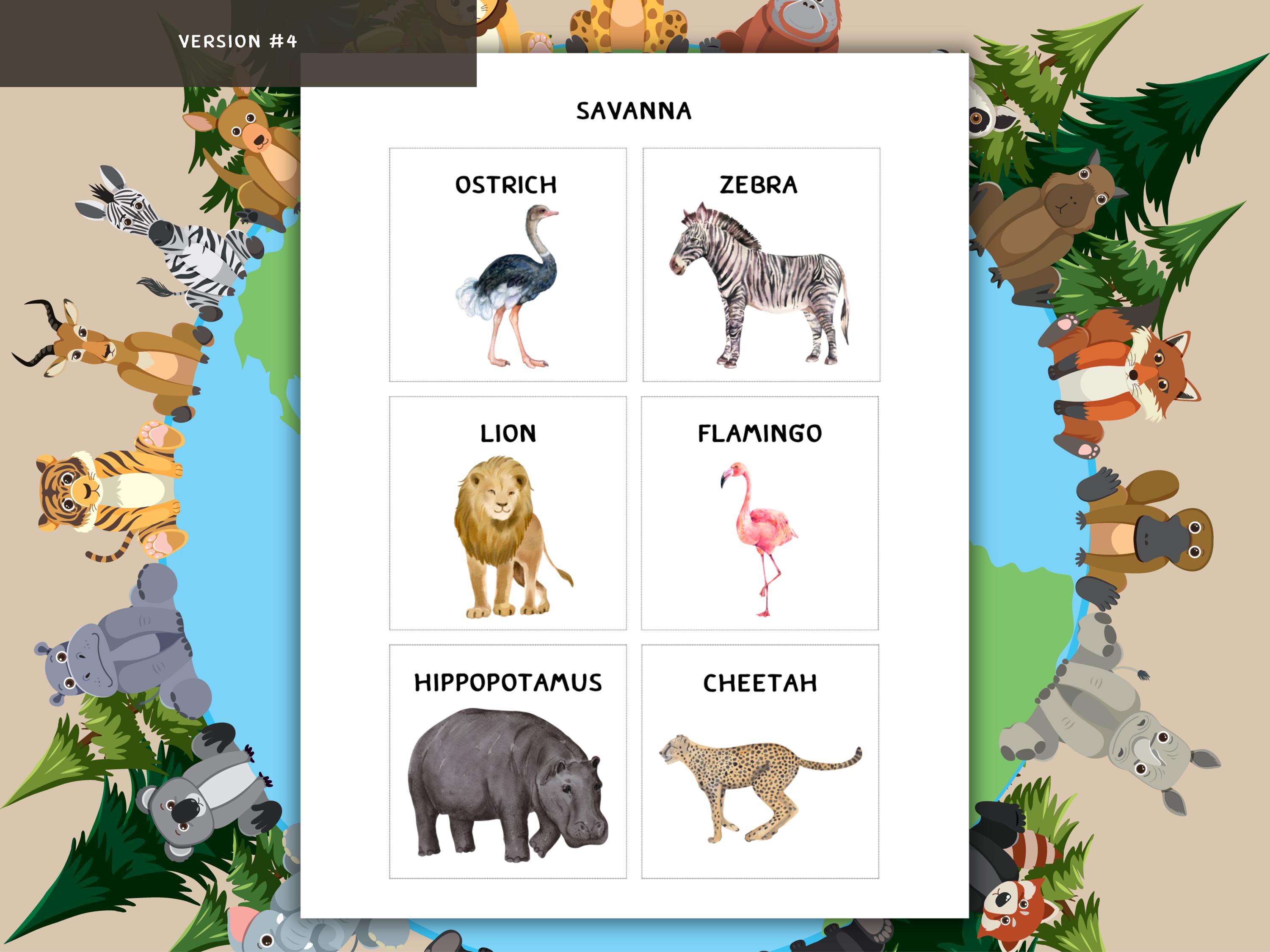 Sorting Animal Habitat Cards | Preschool & Early Learning Printable ...