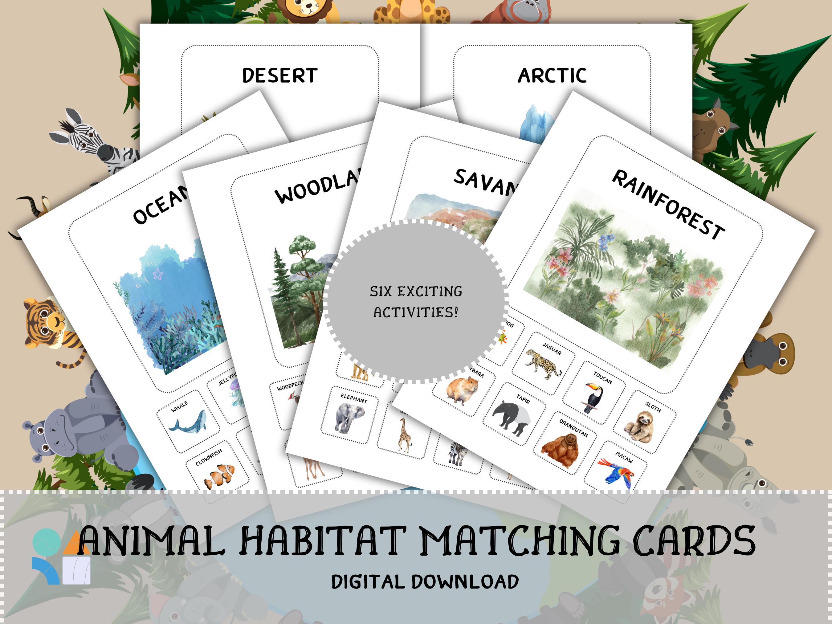 Animal Habitat Matching Game | Printable Educational Cards for Toddlers ...