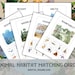 Habitat Matching Cards; Habitat Sorting Activity; Match the Animal to ...