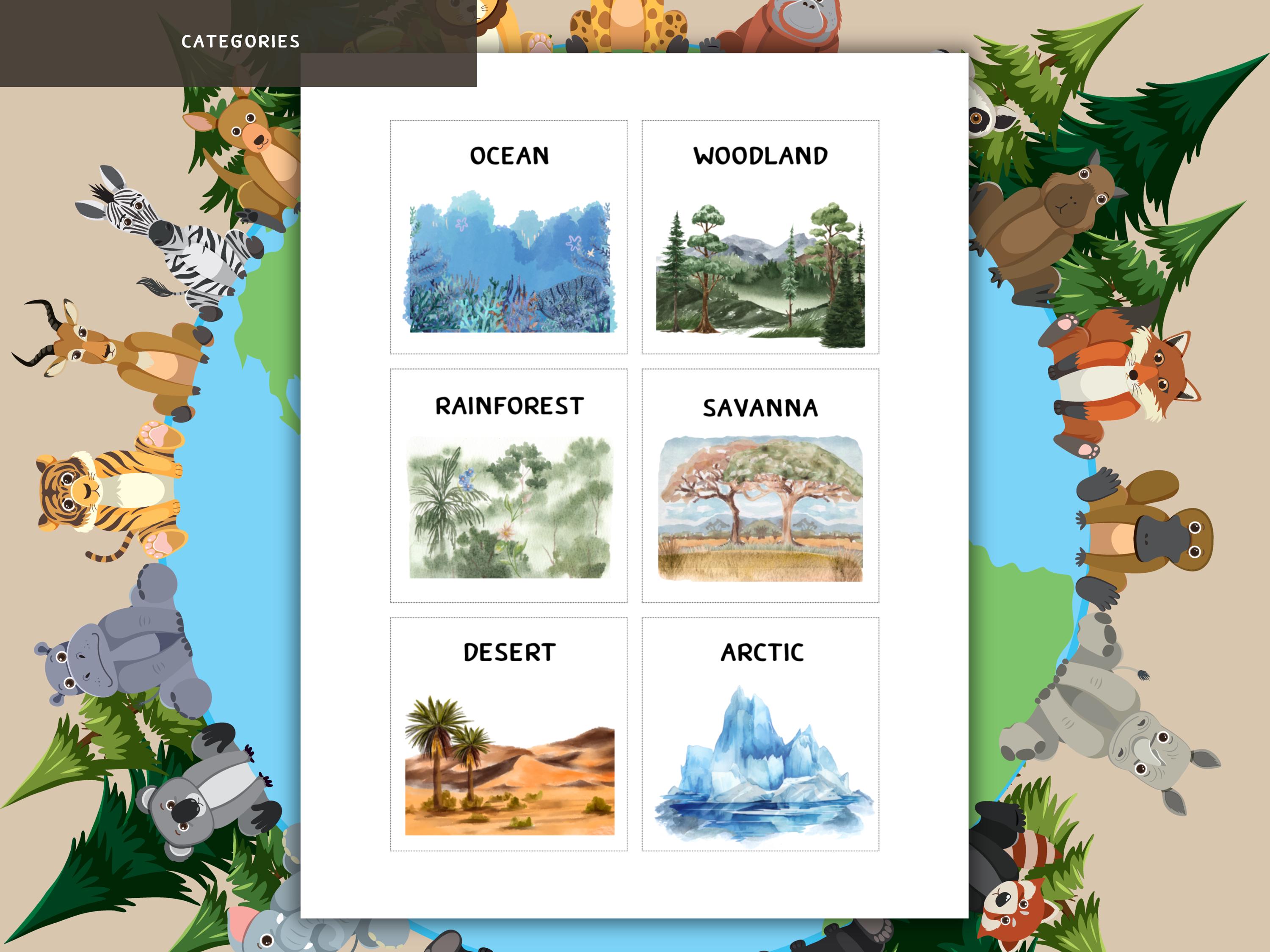 Sorting Animal Habitat Cards | Preschool & Early Learning Printable ...