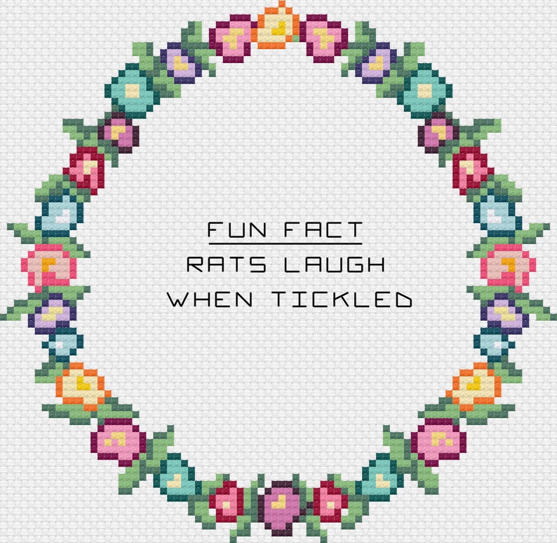 Fun Fact: Rats Laugh When Tickled Cross Stitch Pattern Pdf. - Etsy