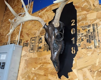 European Taxidermy Mount Skull Hanger Bracket Deer Bear Wolf Wild Boar ...