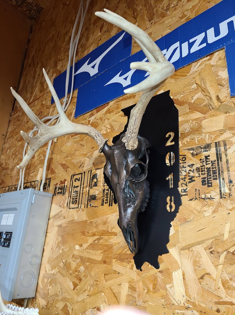 European Deer Mount With State Silhouette - Etsy