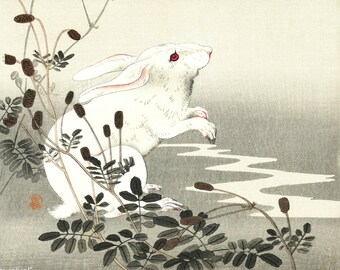 White Rabbit and Full Moon Art Print, Japanese Rabbit Painting, Antique ...