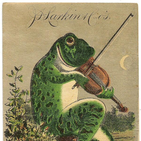 Antique Frog Print - Etsy