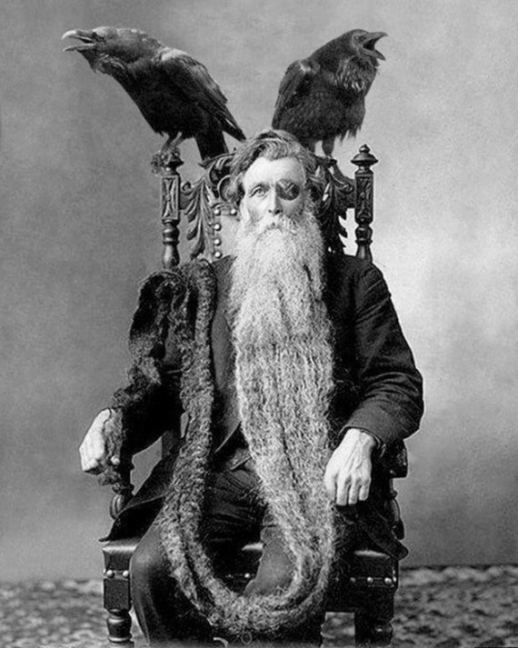 Bearded Odin Man Long Longest Beard Unusual Vintage Print - Etsy