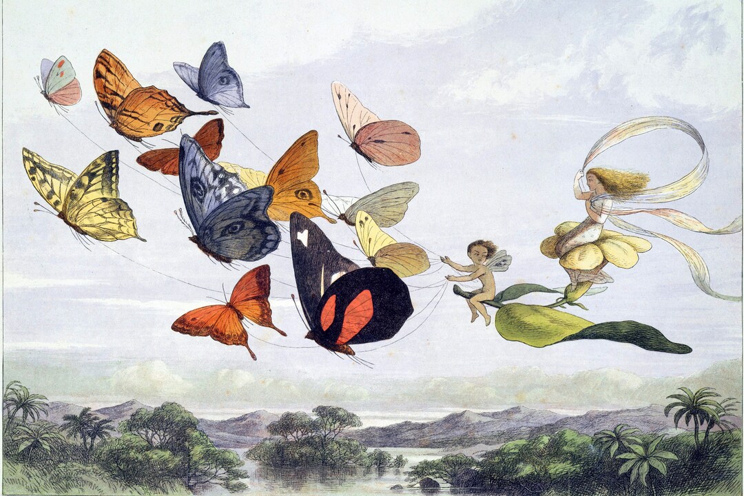 Fairies Riding A Butterfly Drawn Sleigh Print Poster - Etsy