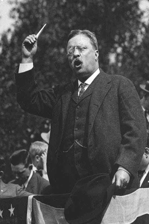 Theodore Roosevelt Speech