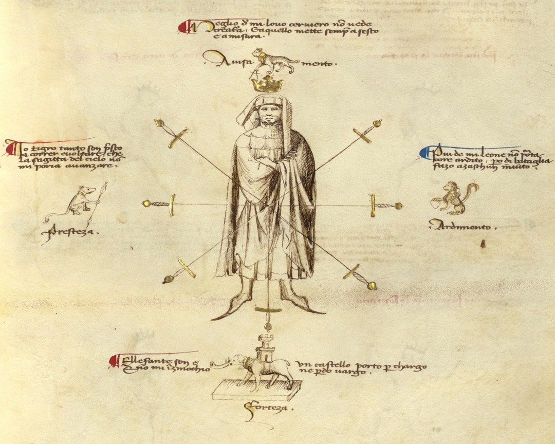 Fiore Dei Liberi Seven Blows of the Sword Print Poster - Etsy