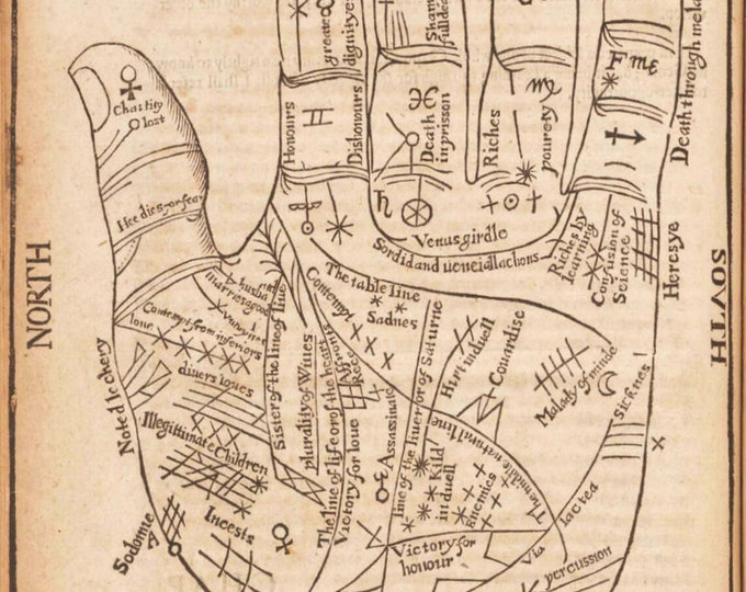 Richard Saunders Palmistry/chiromancy Chart 1653 Print Poster - Etsy