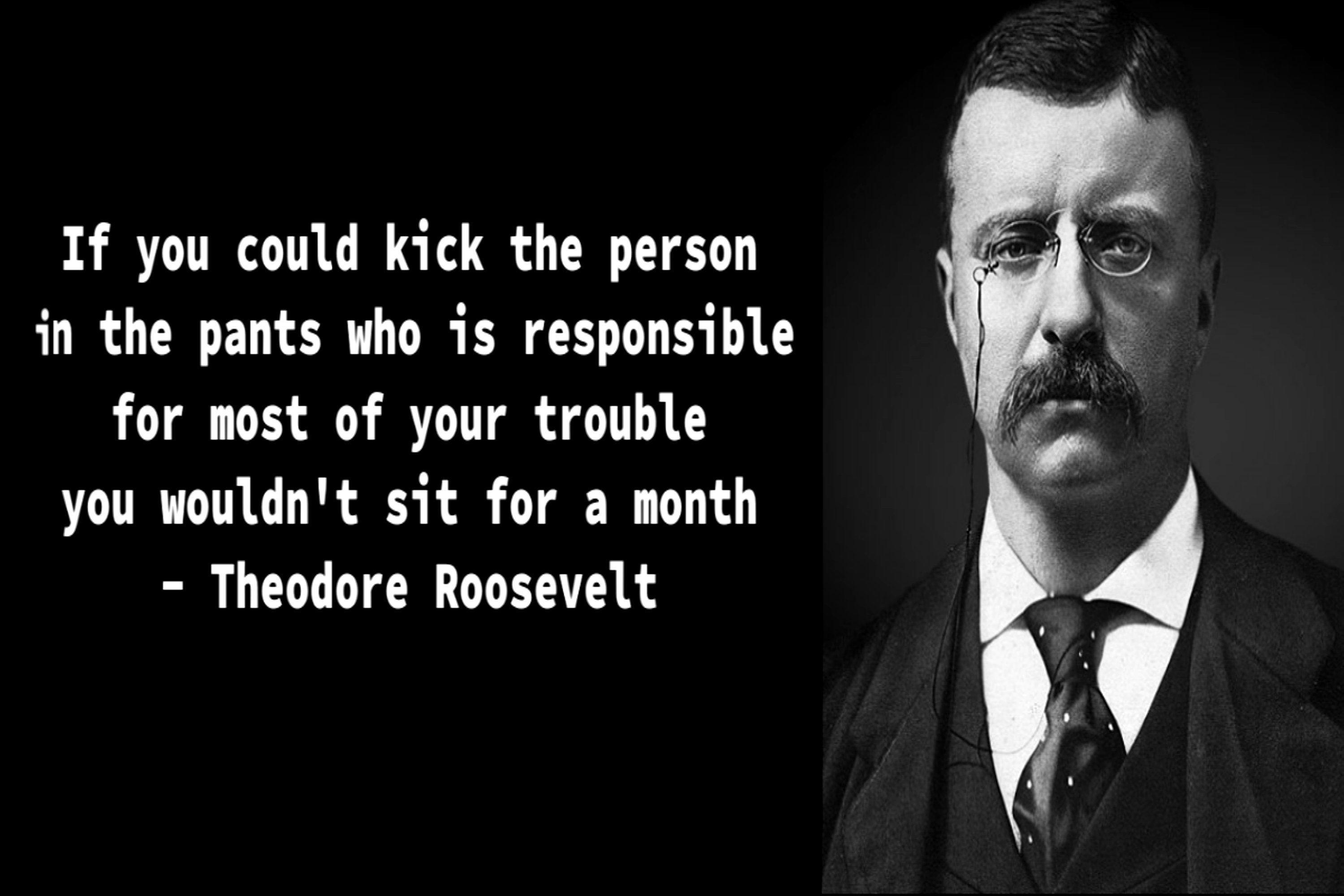 Teddy Roosevelt Quotes