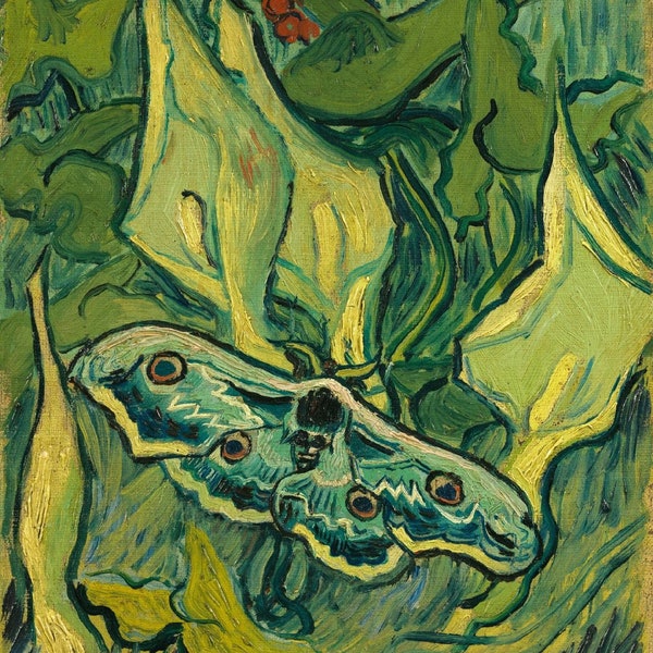 Vincent Van Gogh Emperor Moth - Etsy
