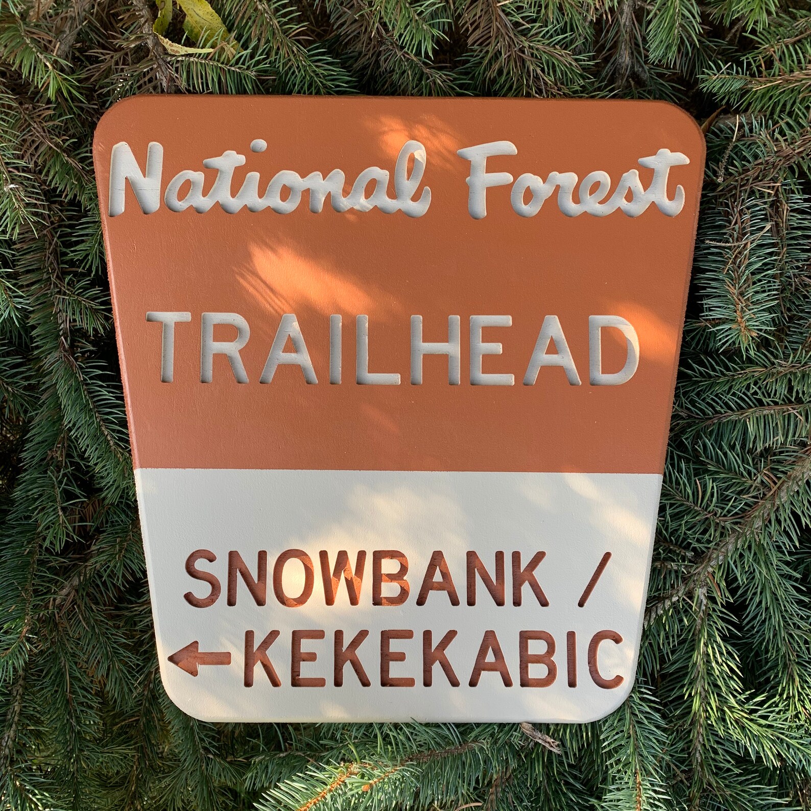 National Forest Access Sign Replicas customizable - Etsy