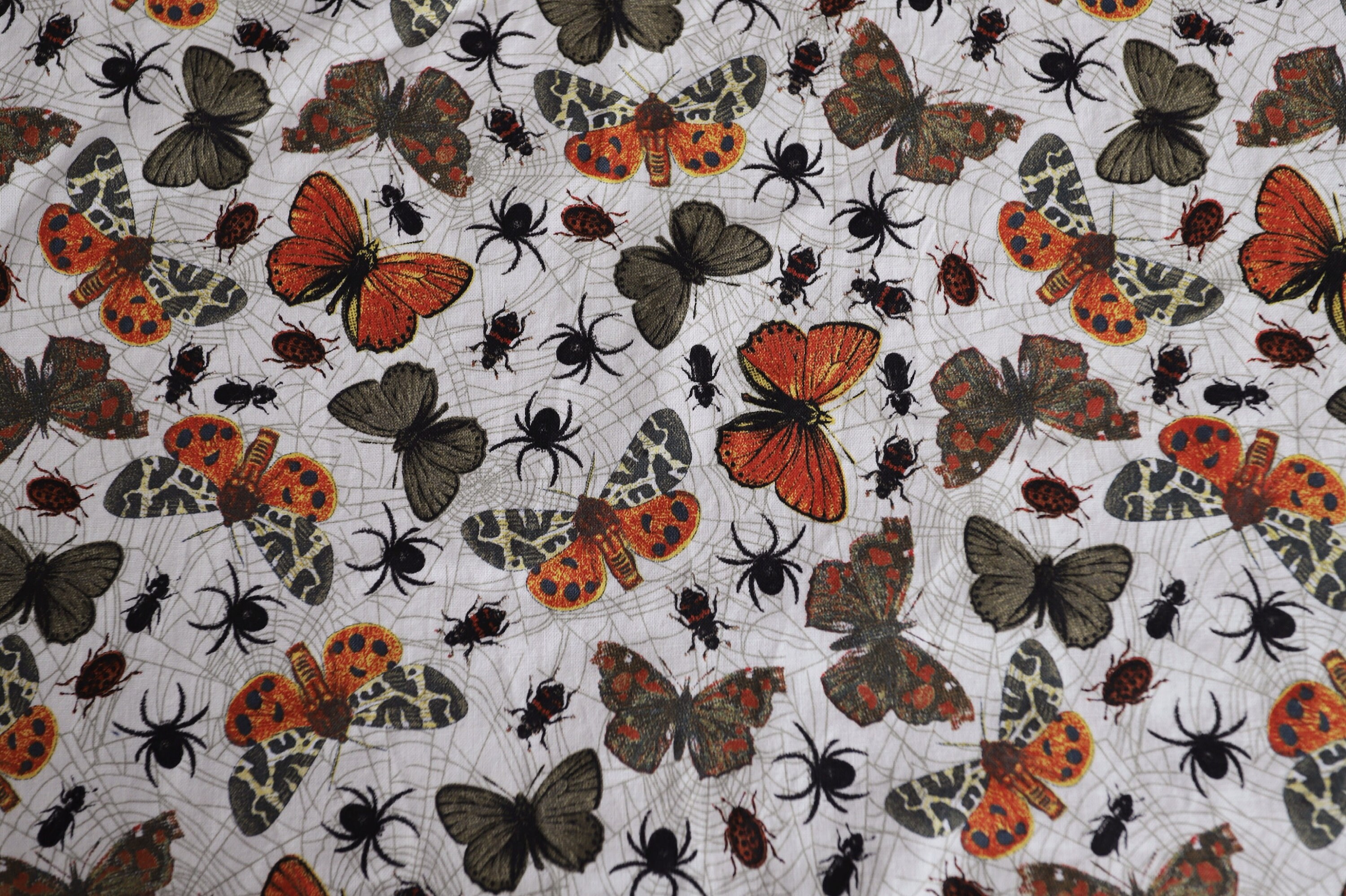 Large Insects and Spiders Tarot Bag Oracle Bag Rune Bag Fully | Etsy