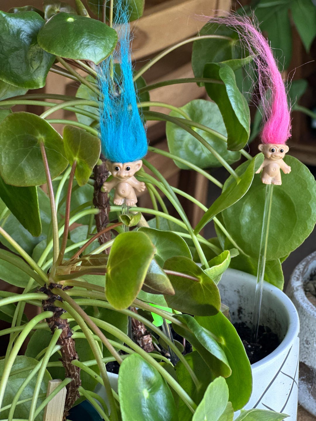 Retro Troll Plant Stake: 90s Nostalgia Decor, Plant Lovers - Etsy