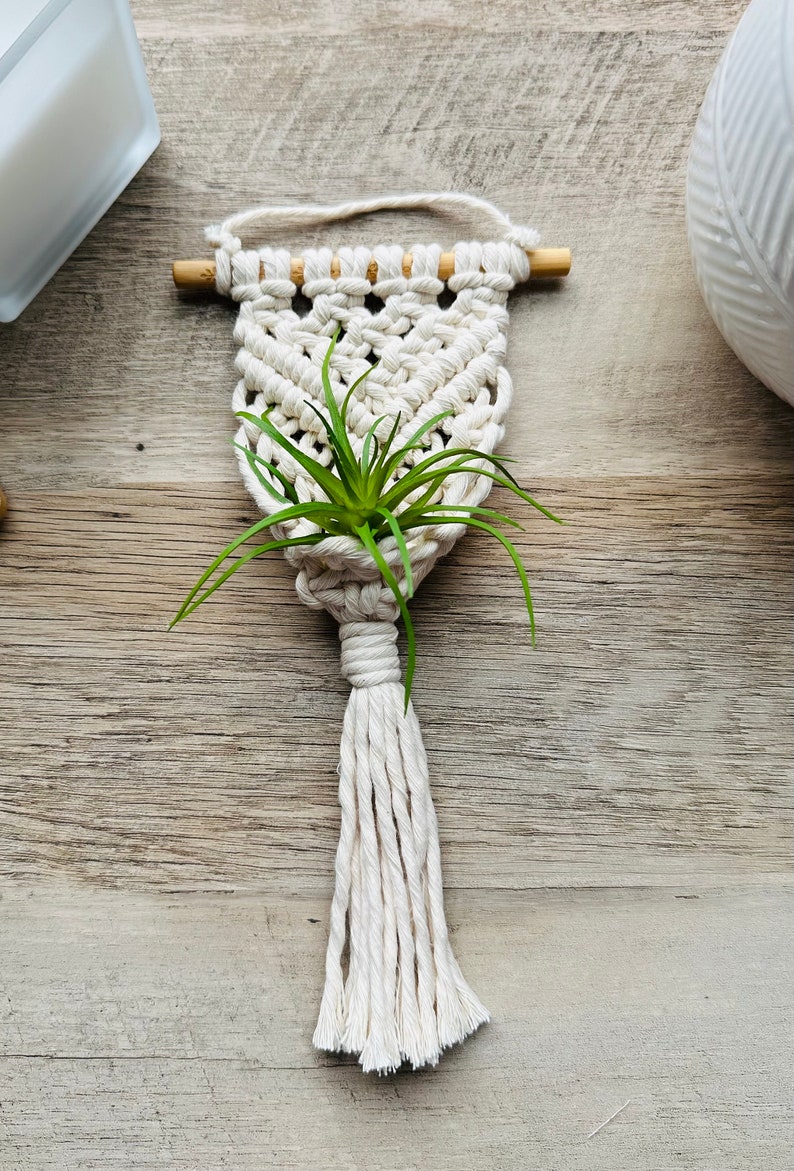 Mini Macrame Air Plant Hanger: Boho Home Decor W/ Artificial Plant ...