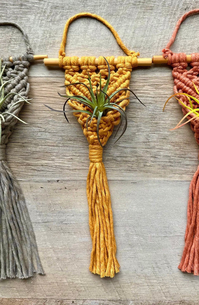 Mini Macrame Air Plant Hanger: Boho Home Decor W/ Artificial Plant ...