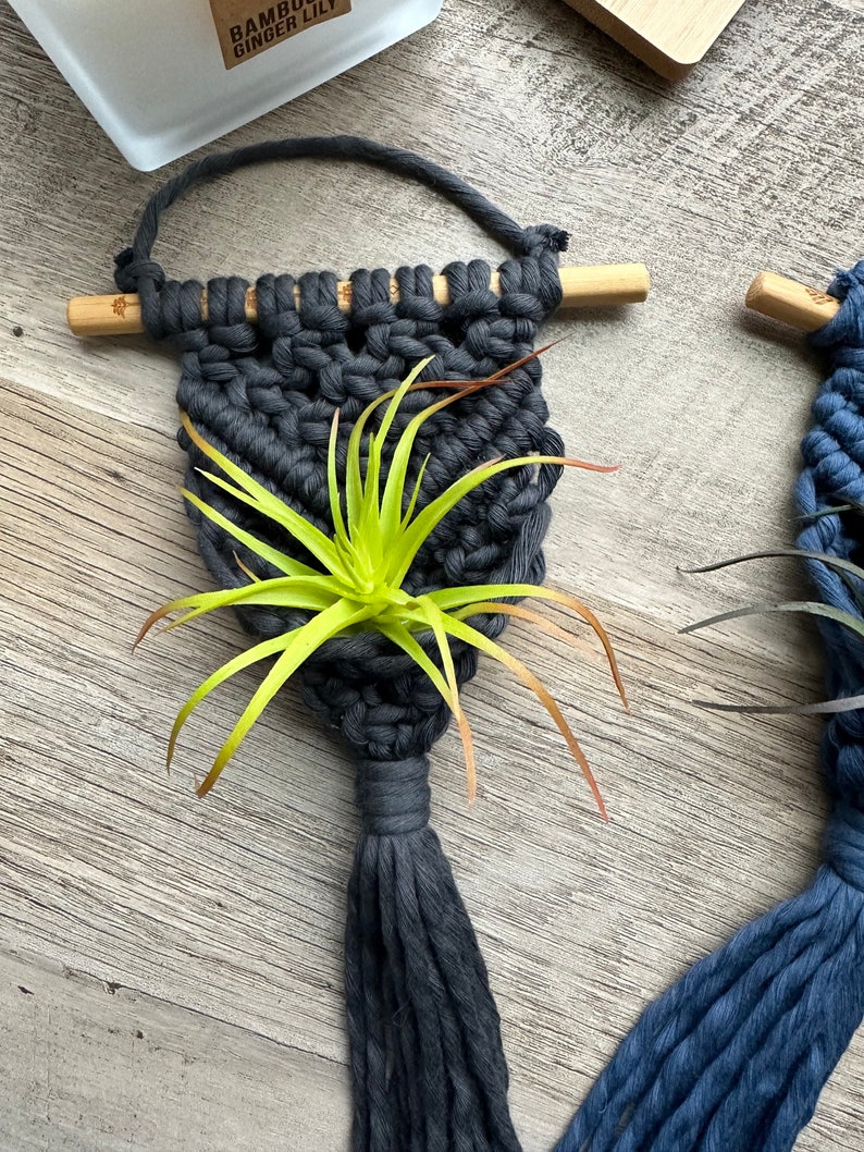 Mini Macrame Air Plant Hanger: Boho Home Decor W/ Artificial Plant ...