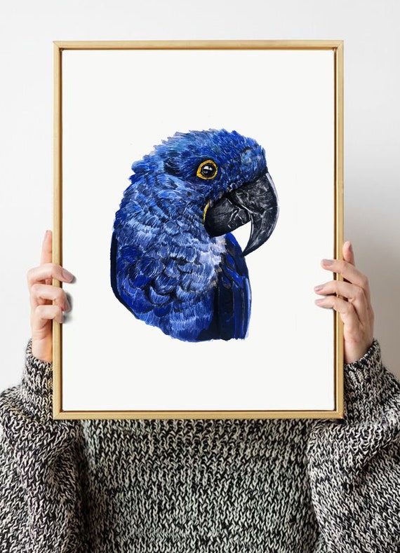 Norwegian Blue Parrot