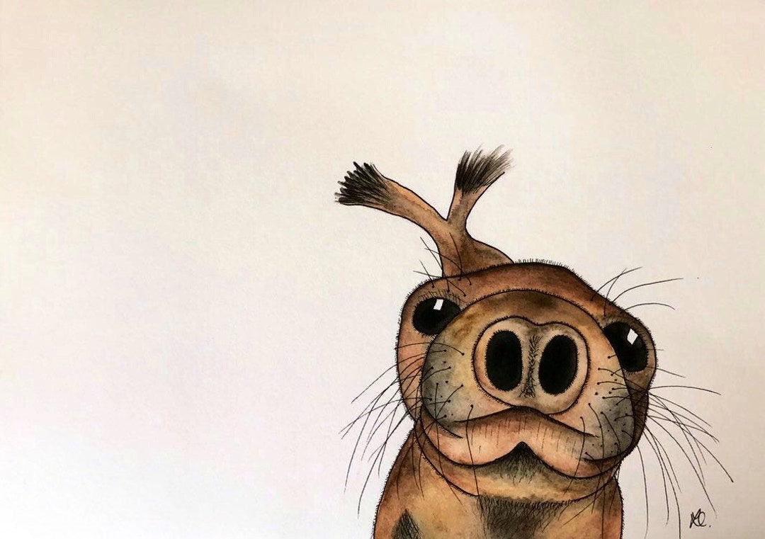 A4 Seth the Seal Watercolour Giclée Limited Edition Print Hand Drawn ...