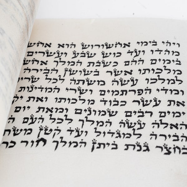 Parchment Scroll - Etsy