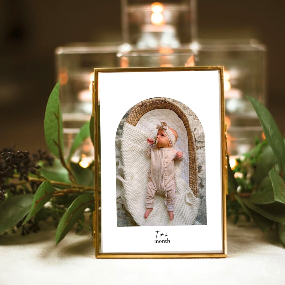 Baby's First Year Poster Canva Template 1st Birthday - Etsy