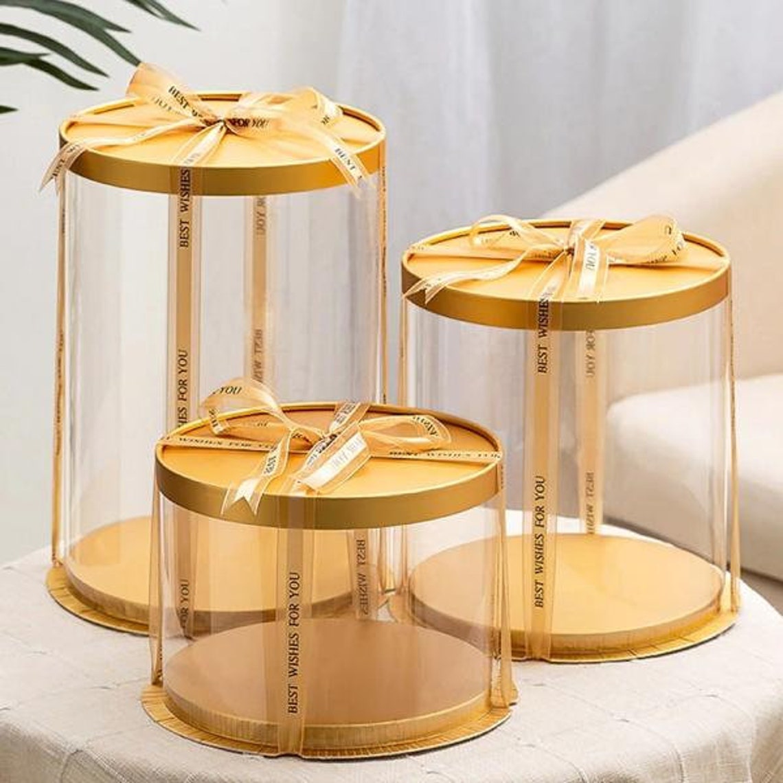 Cylinder Acetate Box Diameter 11x Height 7.1 10 - Etsy