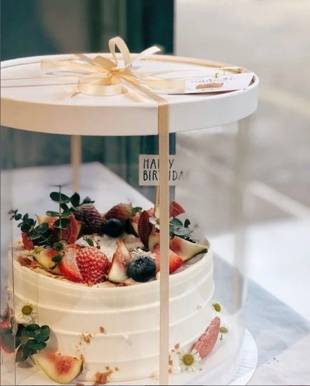 Cylinder Acetate Box Diameter 12x Height 7.1 10 - Etsy