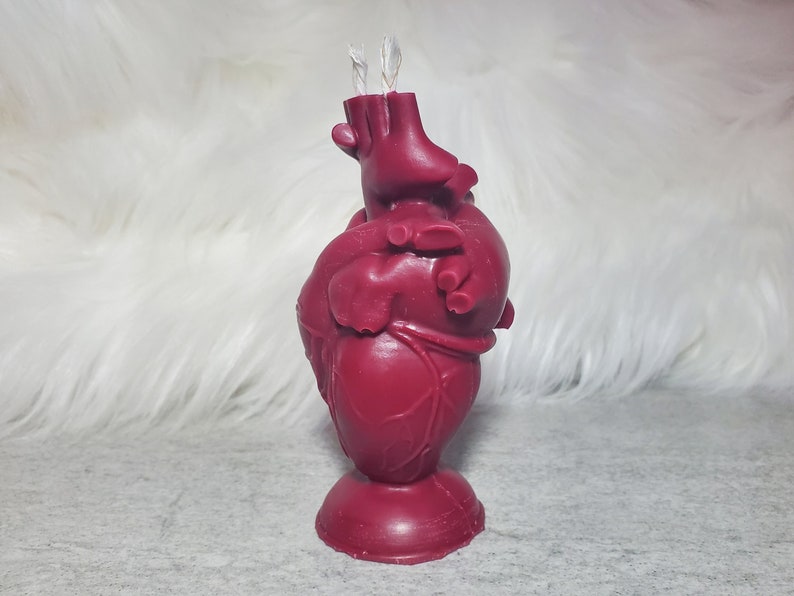 Anatomical Heart Shaped Candle: Custom Scent and Color Soy | Etsy