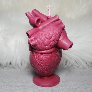 BIG Anatomical Heart Shaped Candle: Custom Scent and Color, Soy Wax ...