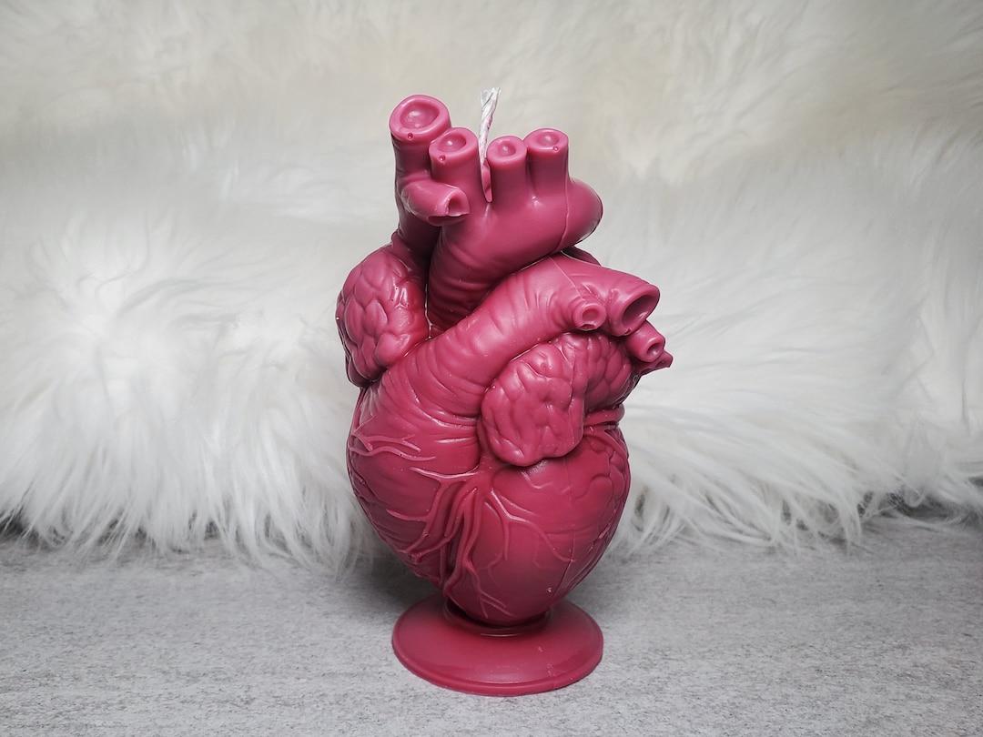 BIG Anatomical Heart Shaped Candle: Custom Scent and Color, Soy Wax ...