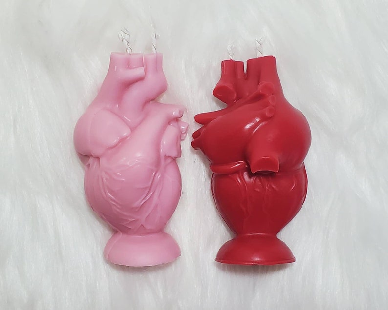 Anatomical Heart Shaped Candle: Custom Scent and Color Soy | Etsy