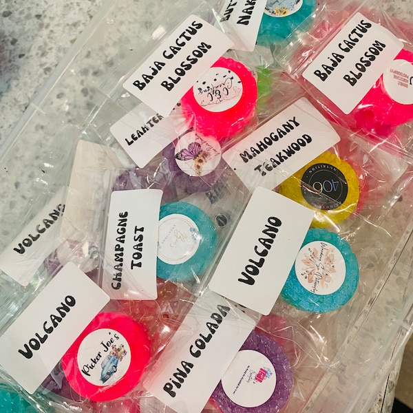 Car Freshie Logo Business - Etsy