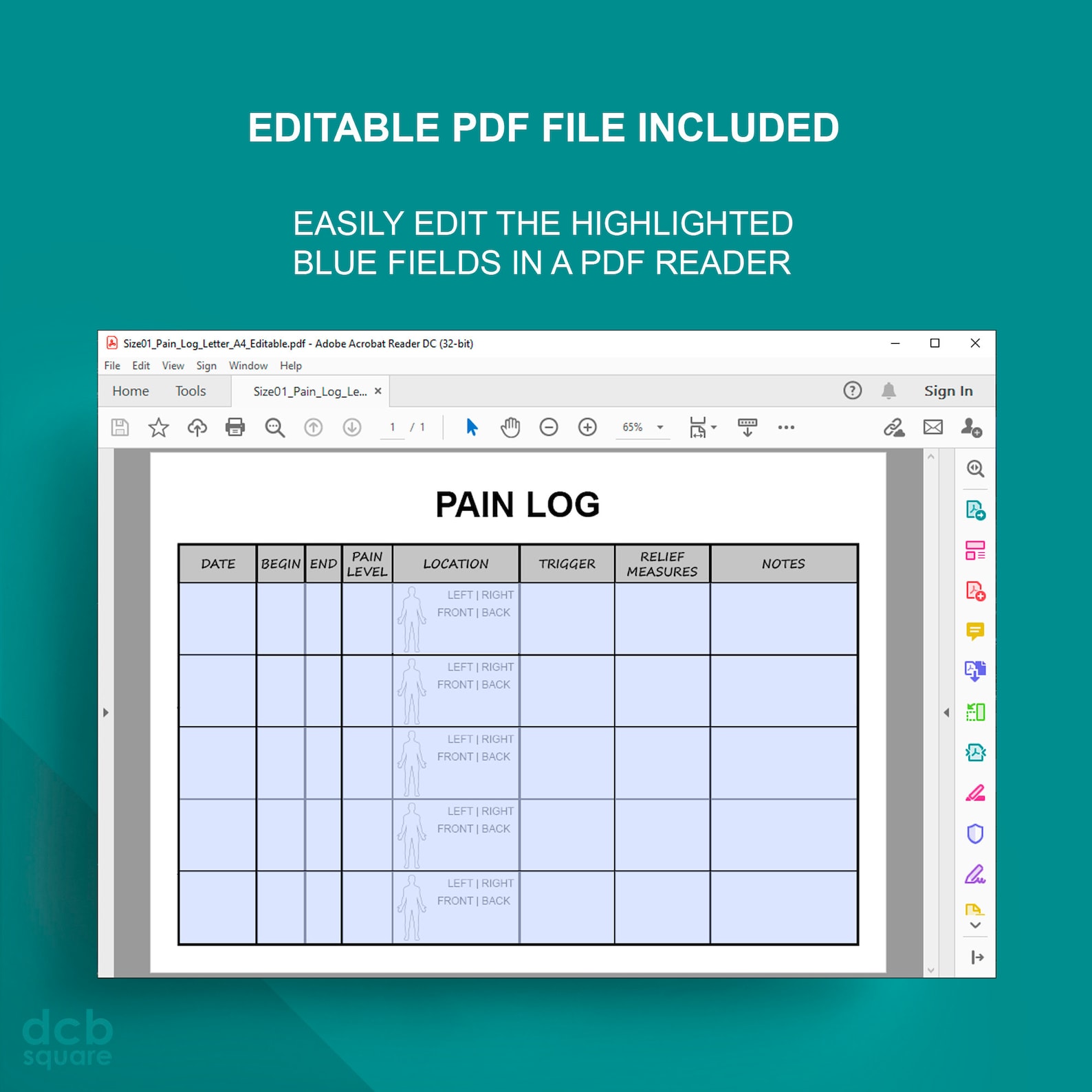 Pain Log Editable Printable - Etsy