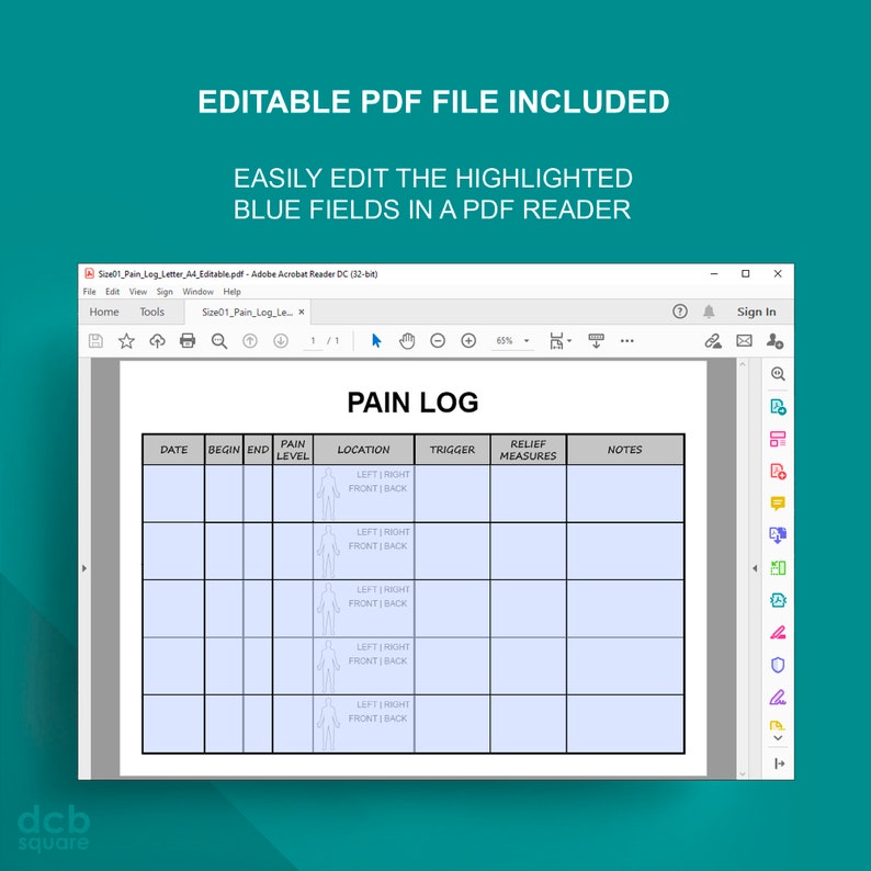 Pain Log Editable Printable - Etsy