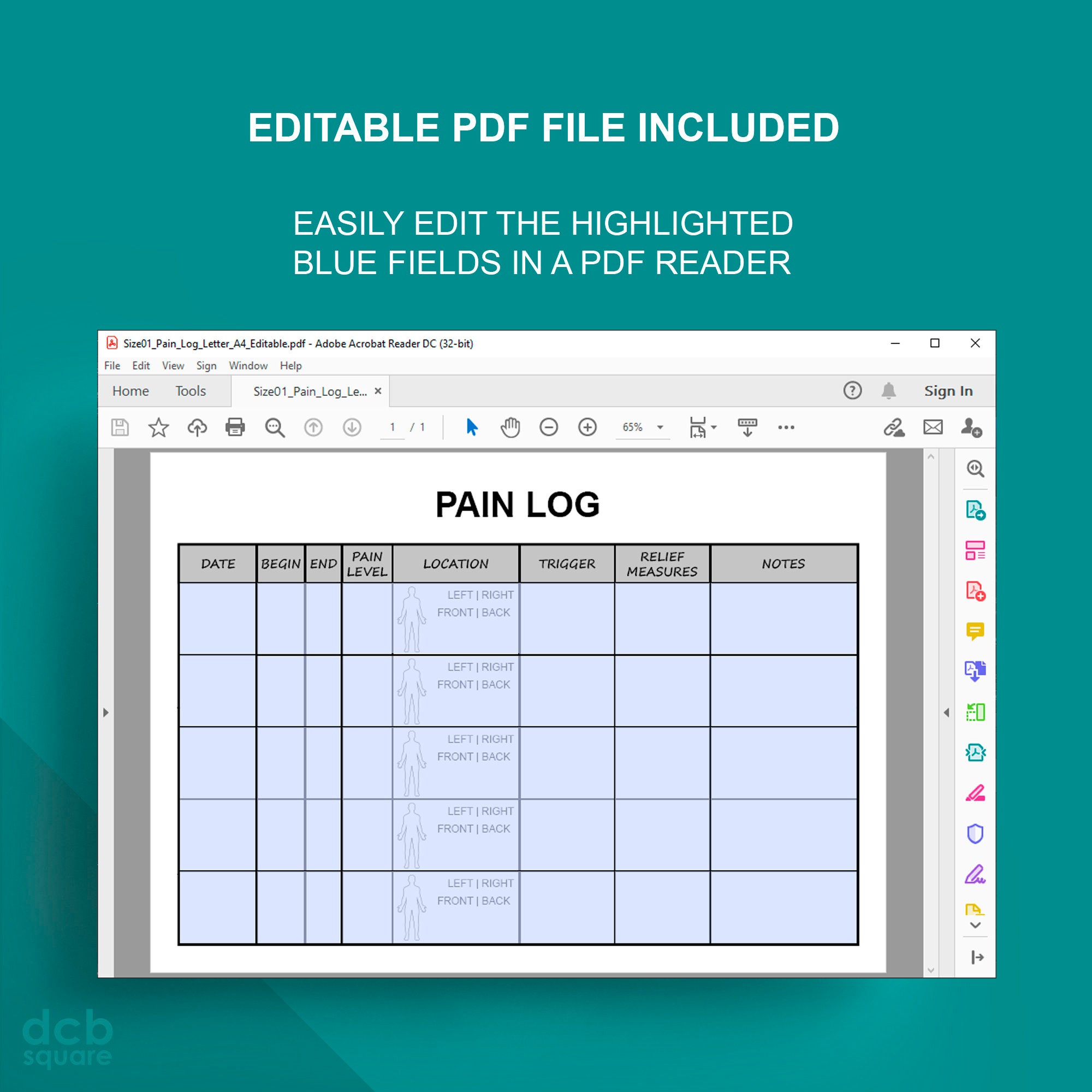 Pain Log Editable Printable - Etsy