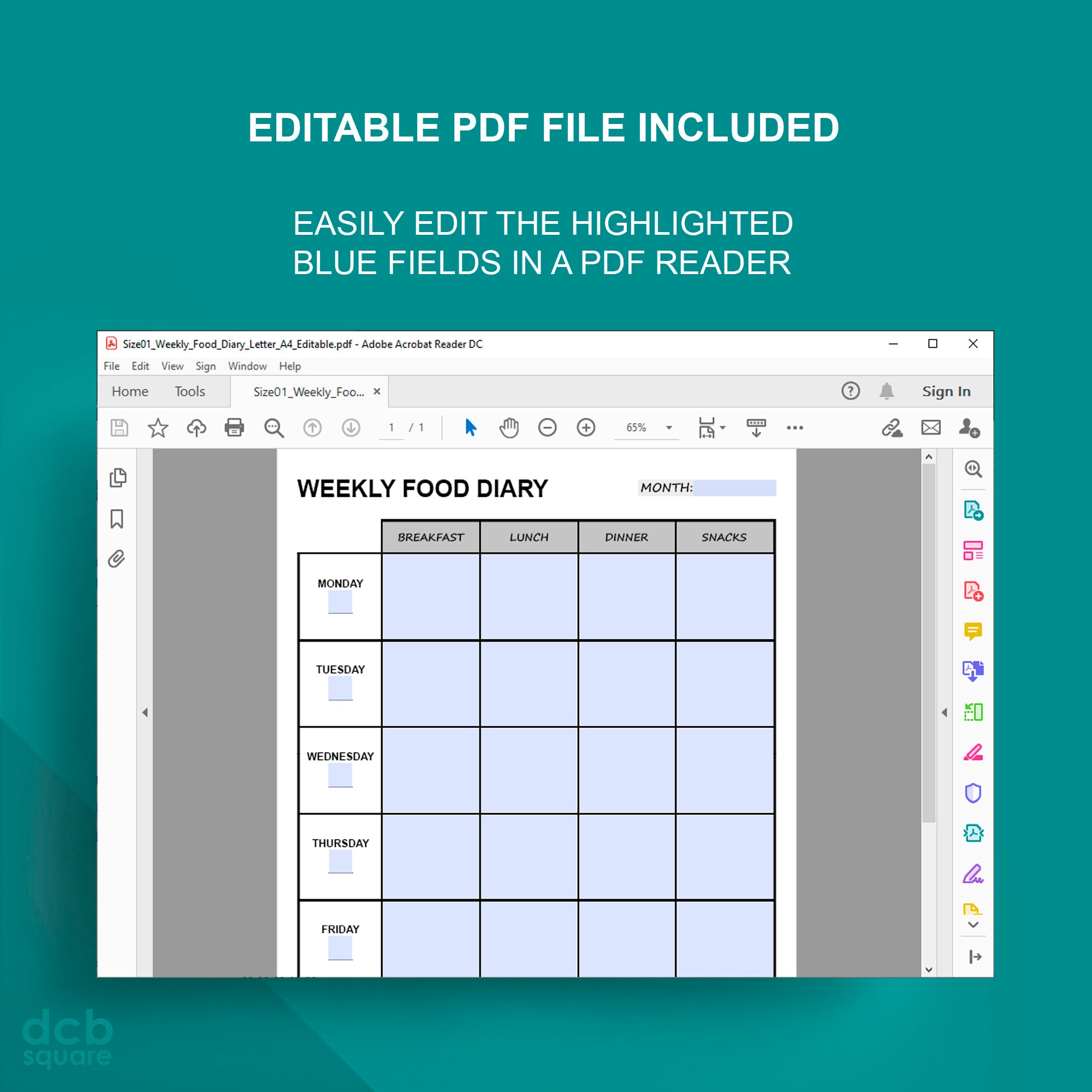 Weekly Food Diary Editable Printable - Etsy