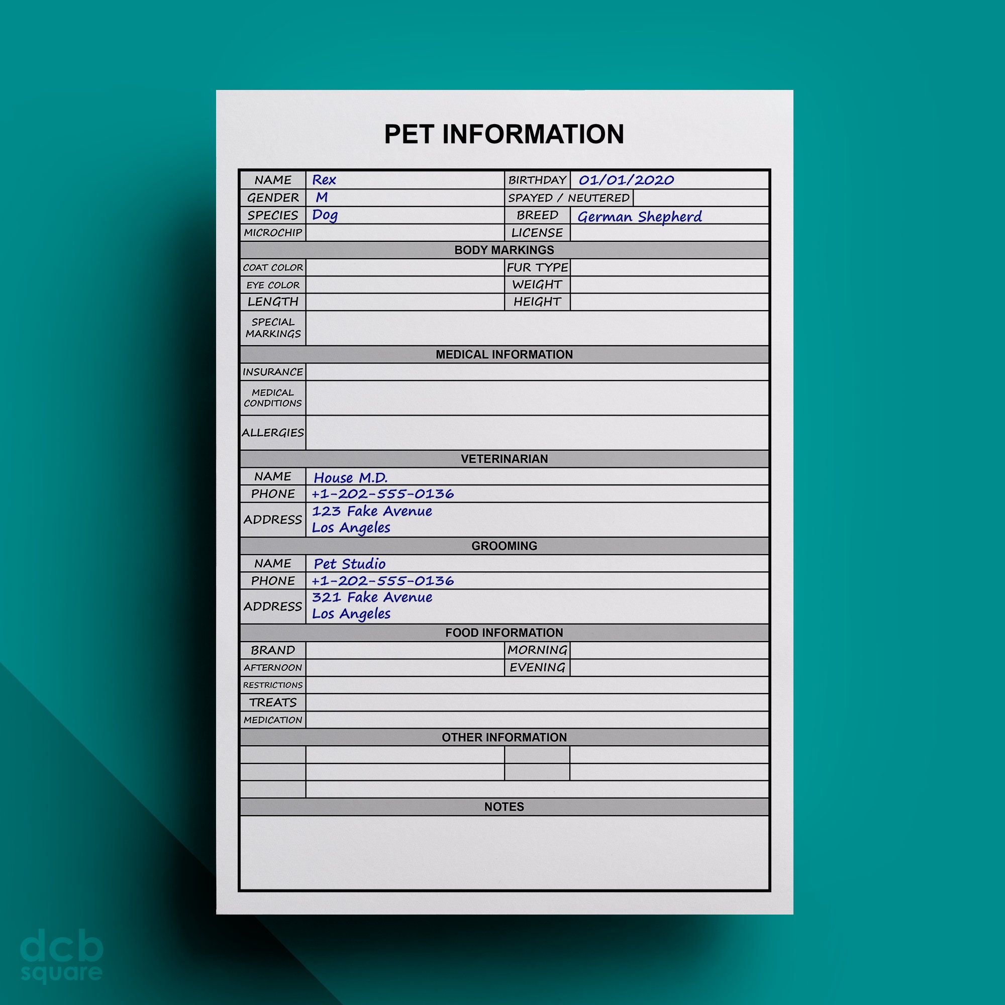 Pet Information Editable Printable - Etsy