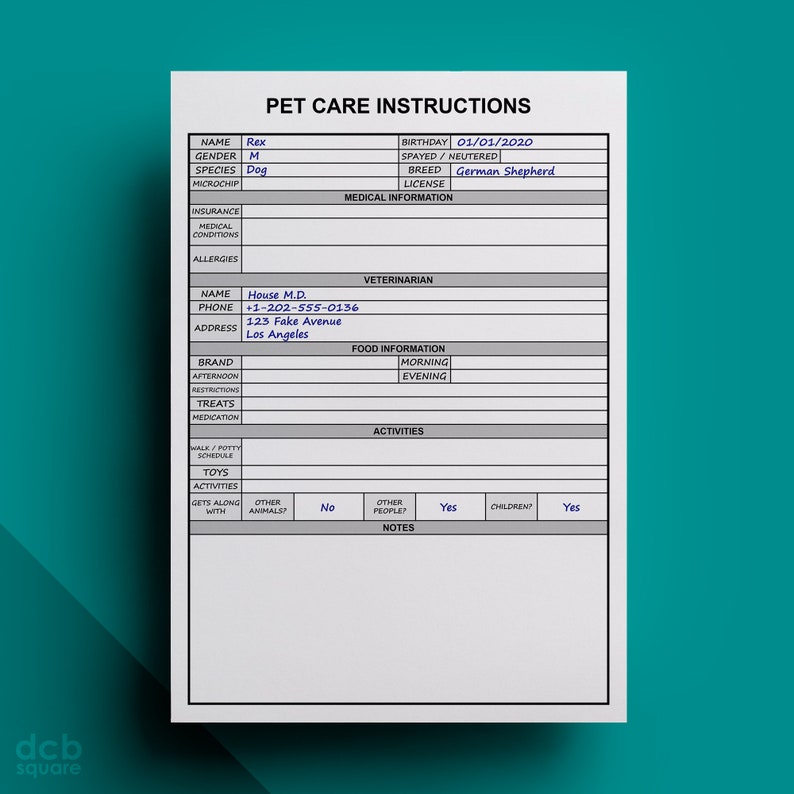 Pet Care Instructions Editable Printable - Etsy