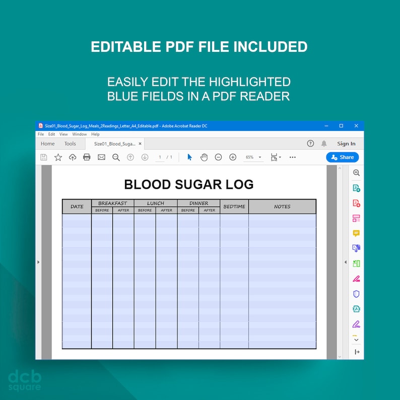 Blood Sugar Log Editable Printable - Breakfast, Lunch Dinner and ...