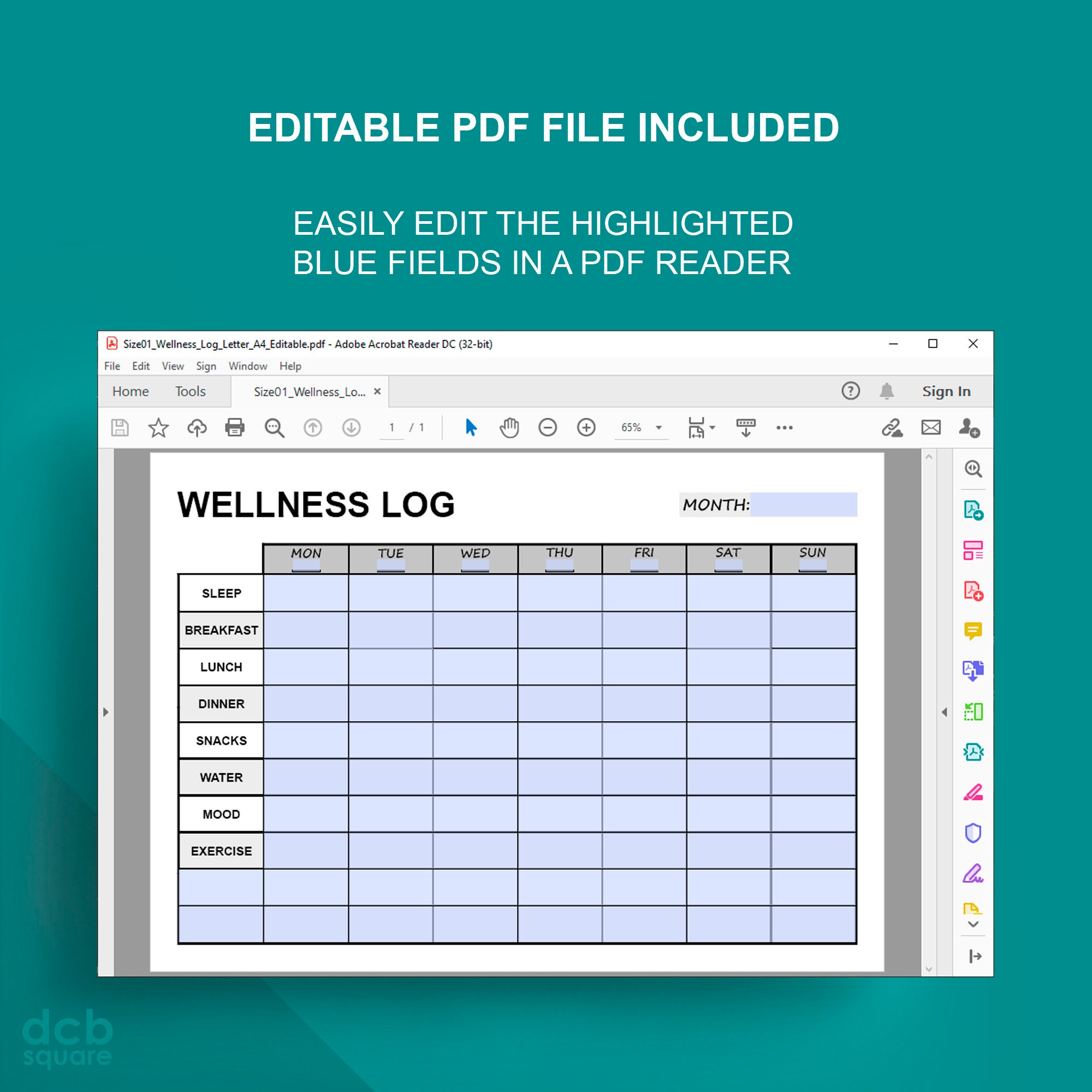 Wellness Log Editable Printable - Etsy