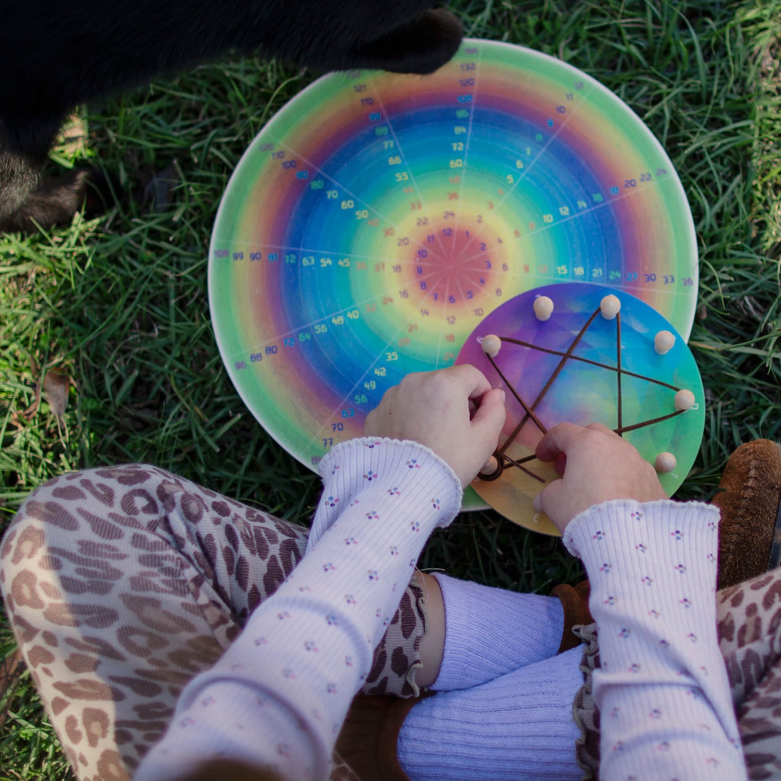 Wild Multiplication Wheel - Waldorf Inspired Learning - for Waldorf ...