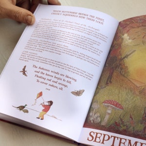 Wilded Journey Through the Year Book. 12 Months of Seasonal ...