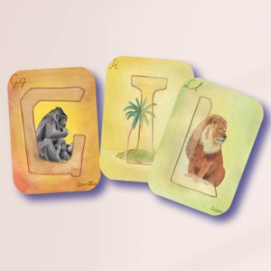 Alphabet Flash Cards, Rainbow Letters. Perfect for Waldorf ...