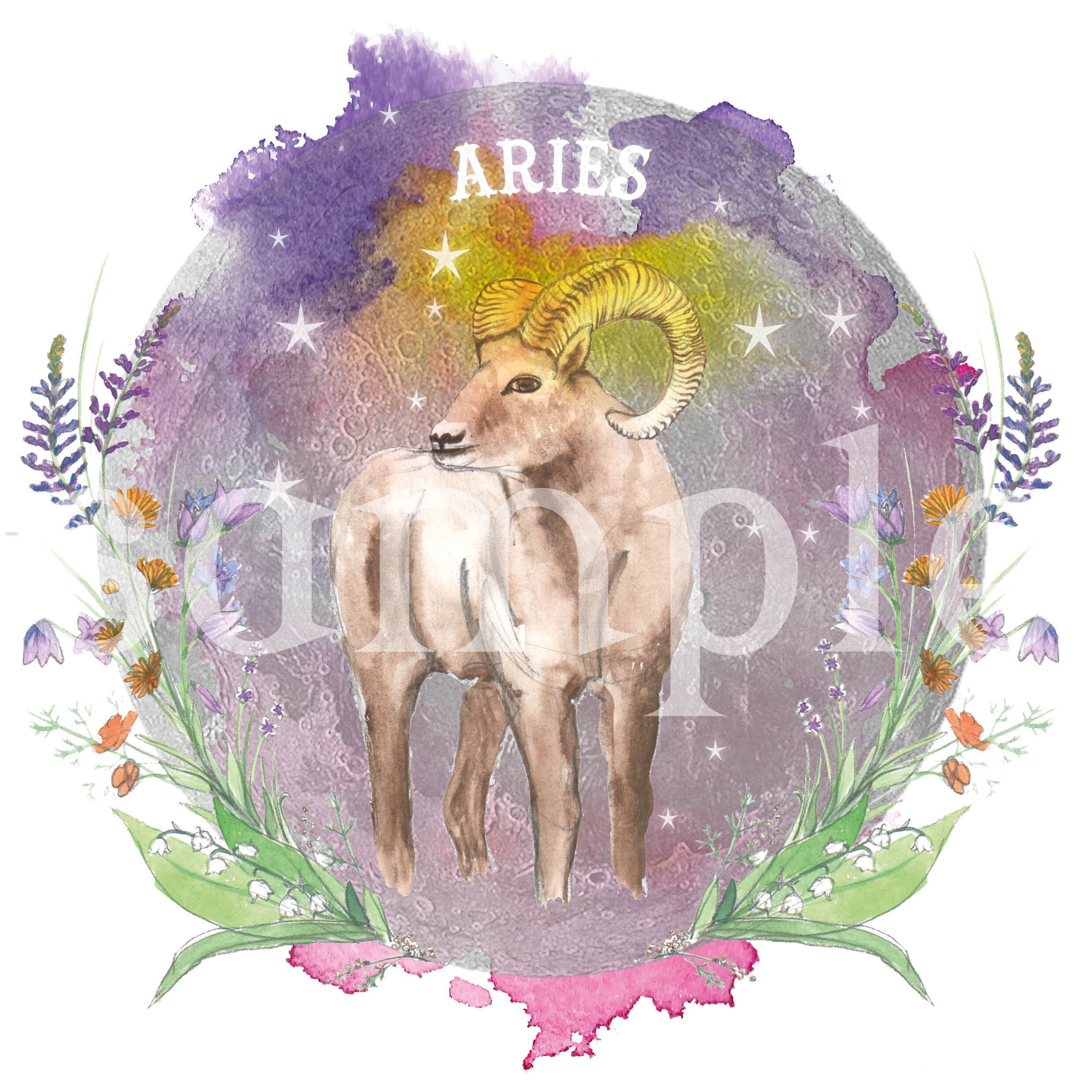 Wilded Zodiac Poster - for Waldorf School and Homeschool. Stress Free ...
