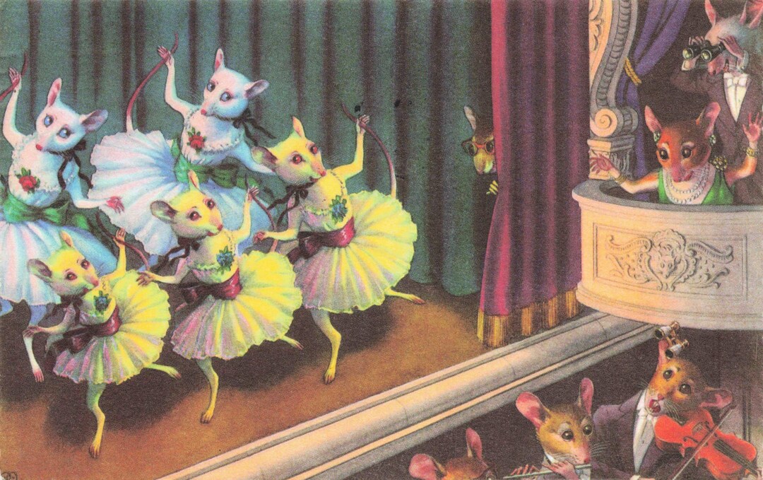 Comic Cat Ballet Dancers 1960 Vintage Postcard - Etsy